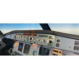 A 320 MIP/GLARESHIELD